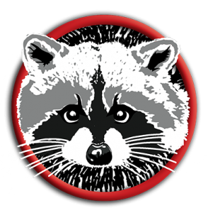 RaccoonMedicine | How to use MMS as a skin spray