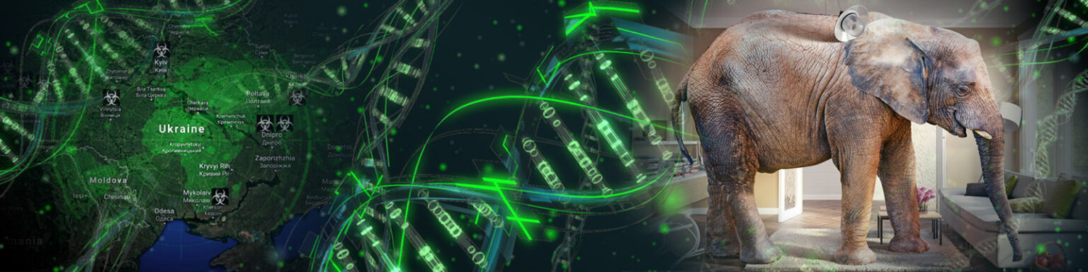 RaccoonMedicine | How to use MMS as a skin spray